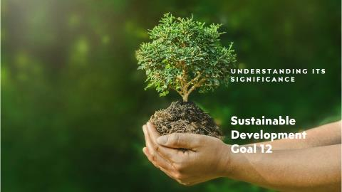 What is SDG12 (Sustainable development goal 12 ) and how is it significant?